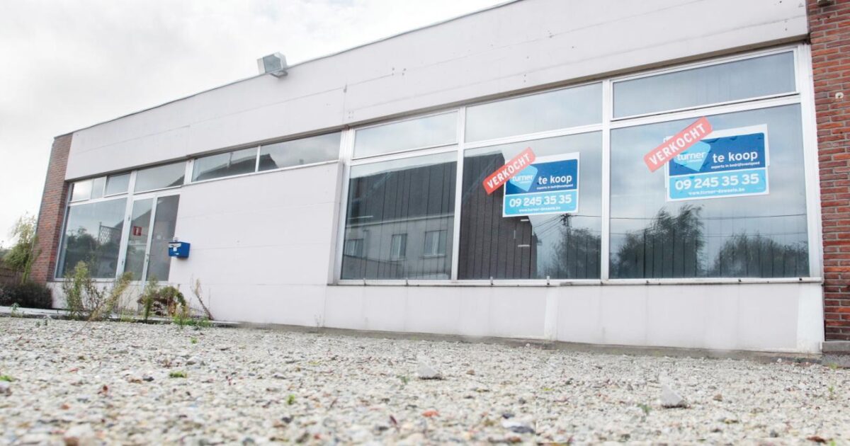 Met de eerlijkheid van Dewaele heb ik me meteen goed gevoeld - Dewaele